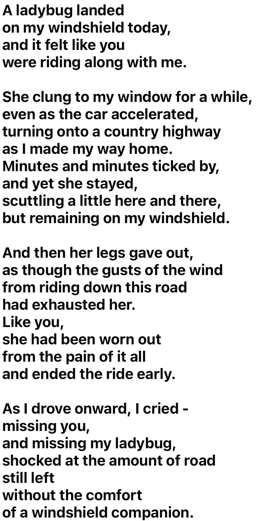 Ladybug, A Poem – Kate with a Twang